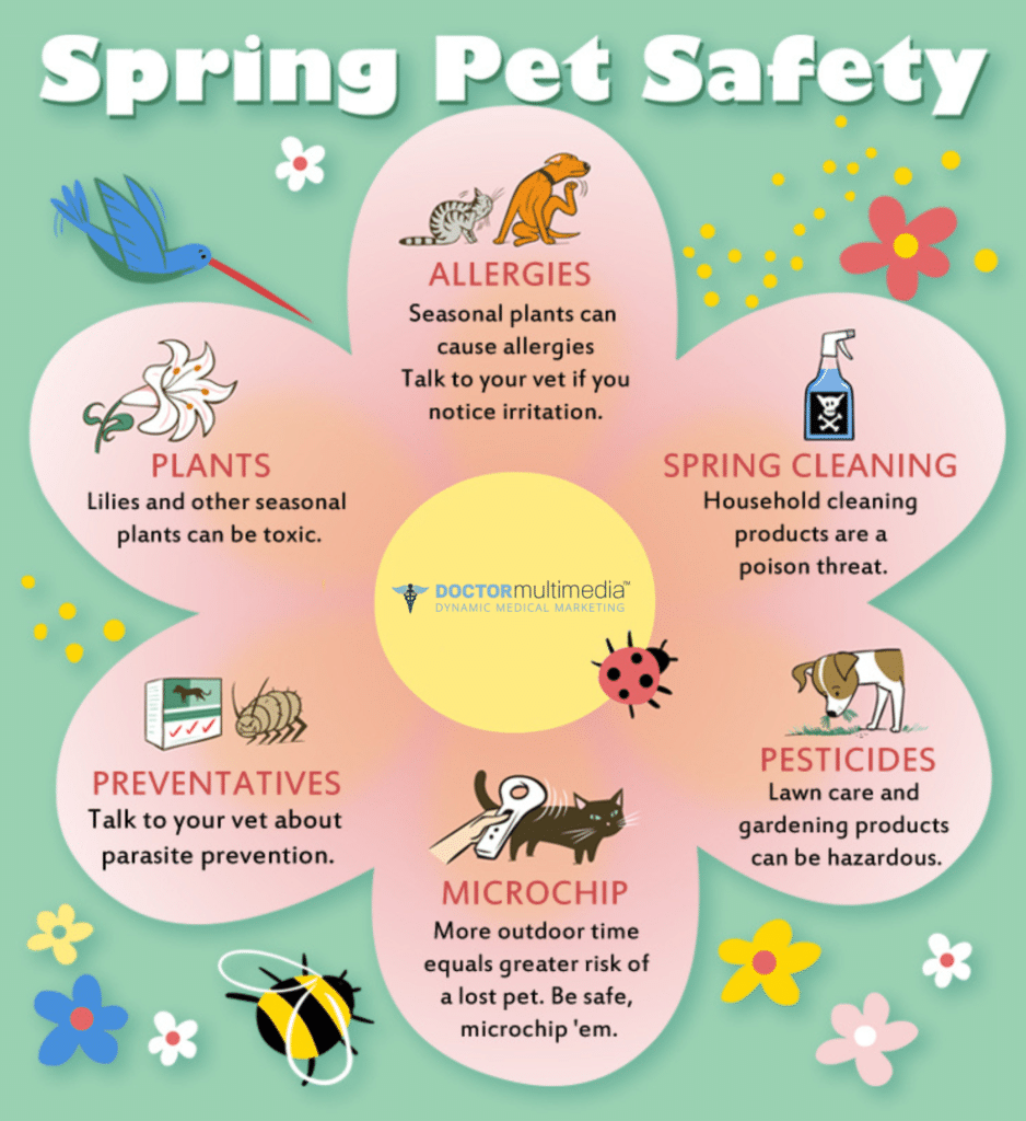 Spring Pet Care Safety - Circle B Bed 'N Biscuits